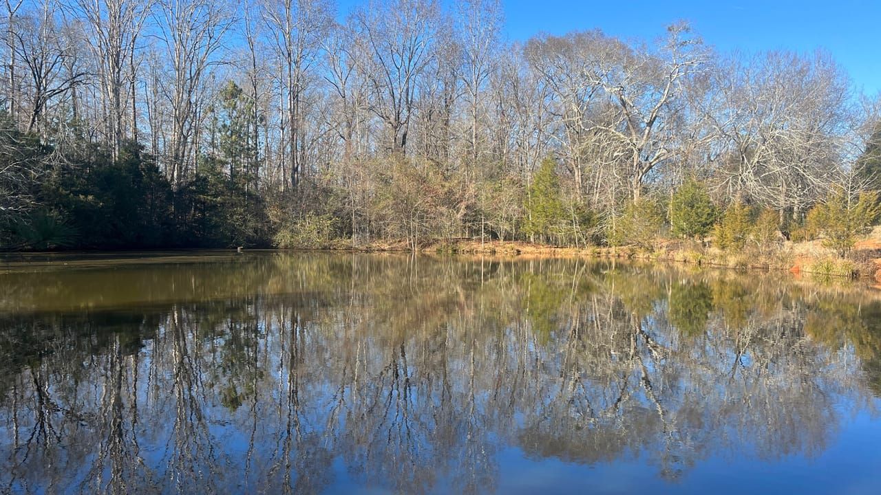 River Rd, Carlton, GA 30627 | LandWatch