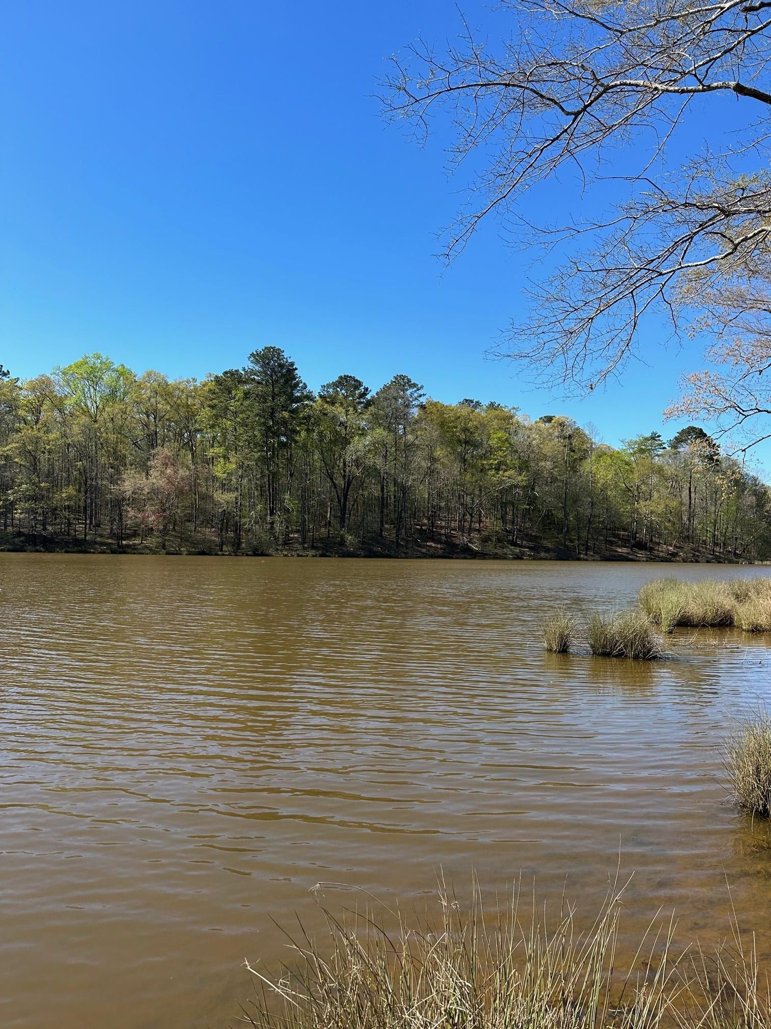 O Street, Hamilton, GA 31811 | LandWatch