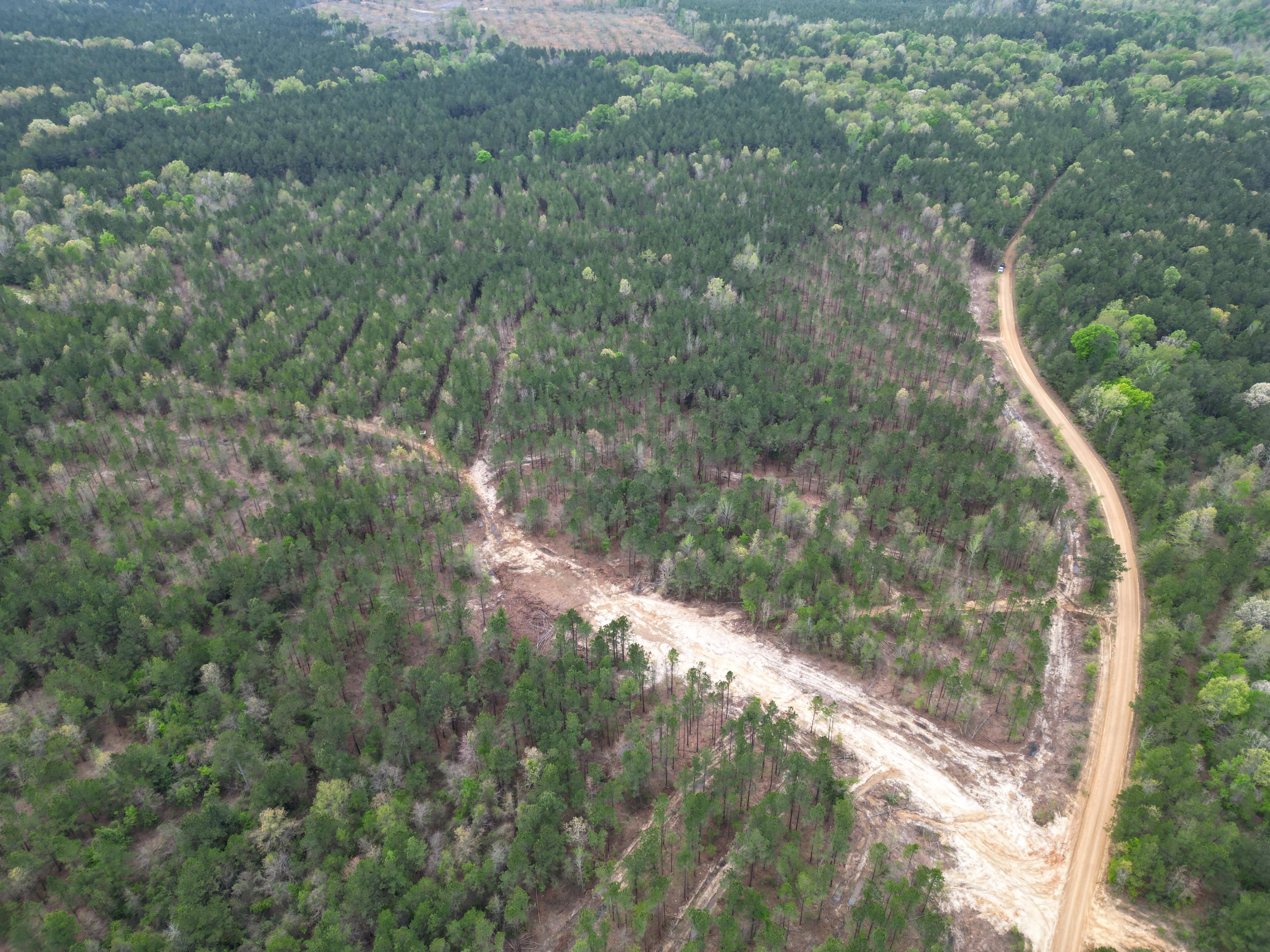 125 acres in Grayson, LA, 71435 | LandWatch