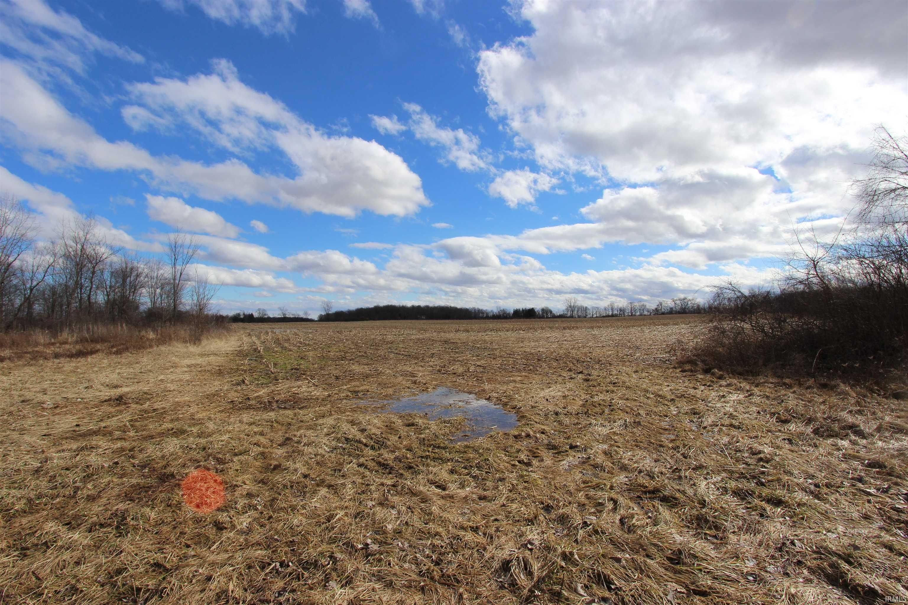 000 57 Road, Butler, IN 46721 | MLS: 202306521 | LandWatch