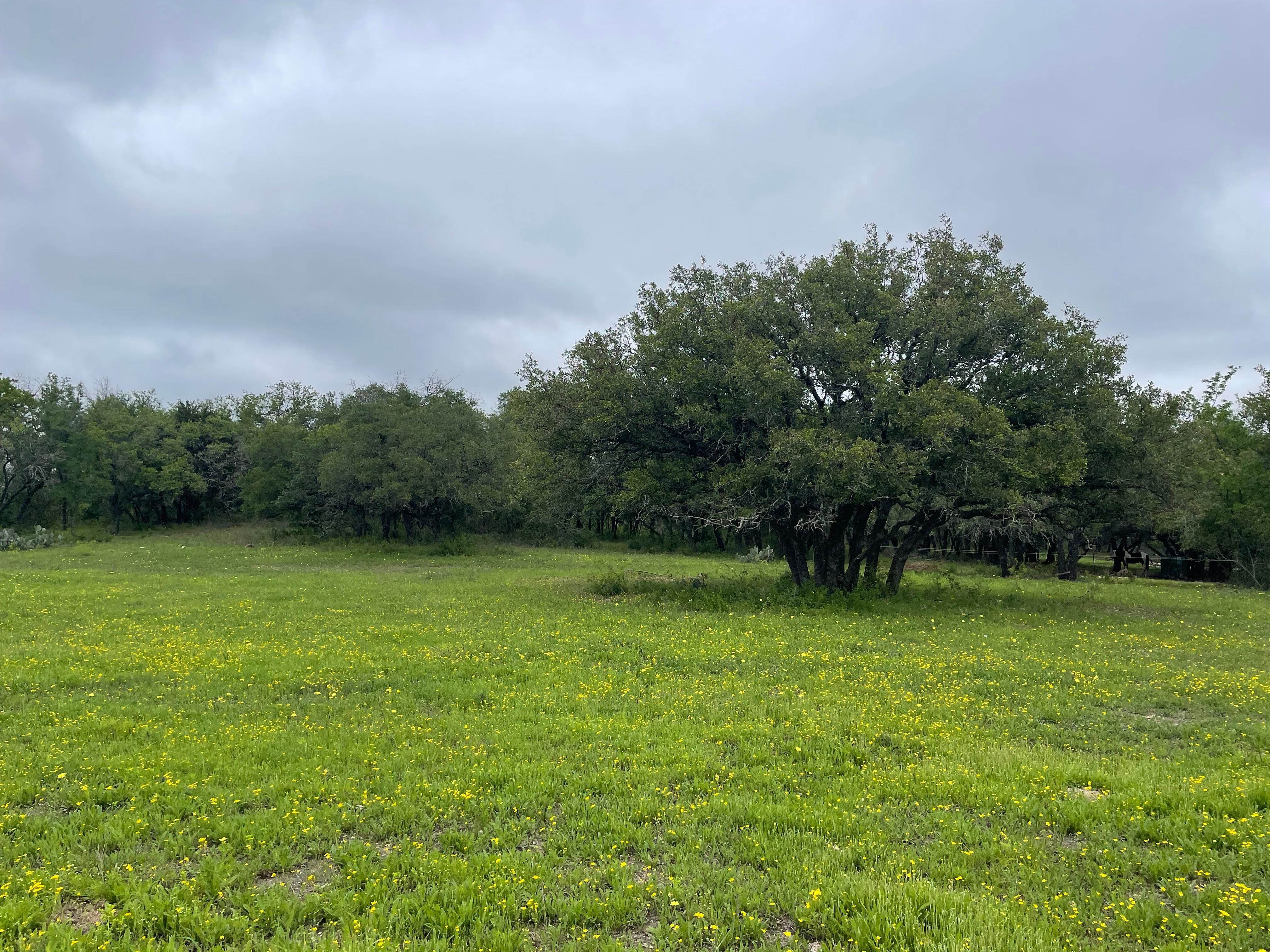 Private Road 2902, Hamilton, TX 76531 | LandWatch