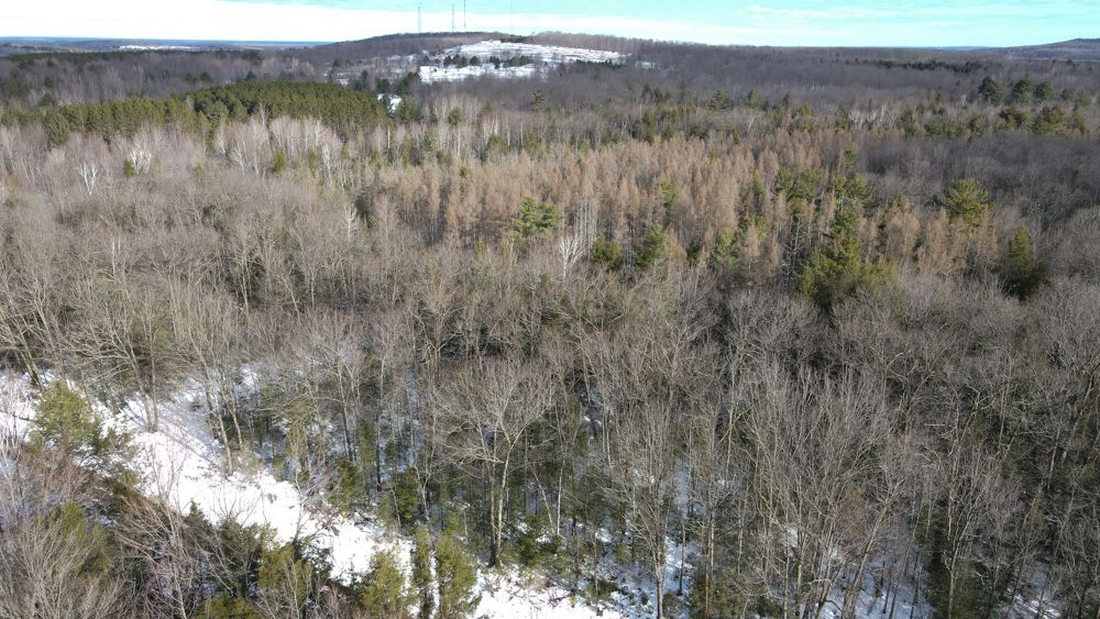 Irma, Lincoln County, WI Recreational Property, Hunting Property for ...