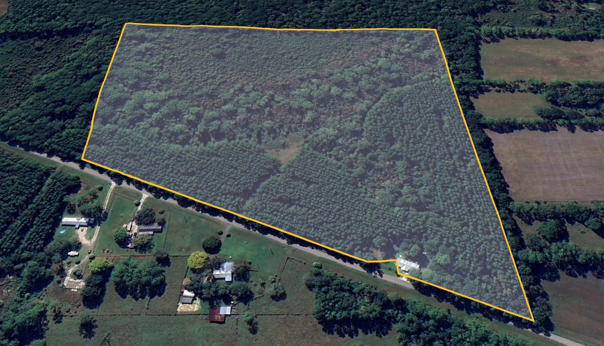Northwest County Road 125, Lawtey, FL 32058 | LandWatch