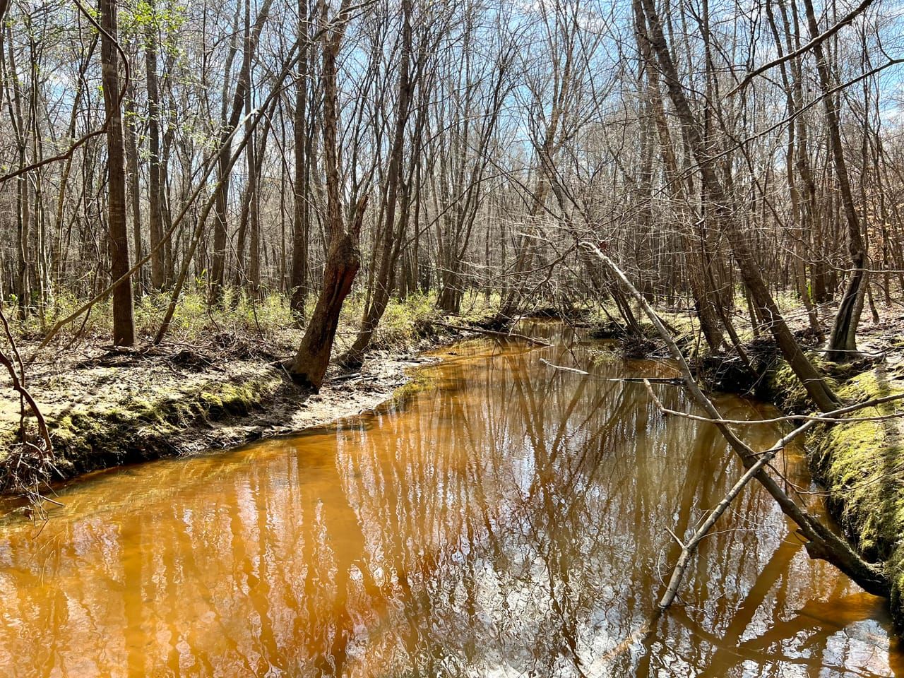 6220 SR-102, Warthen, GA 31094 | LandWatch