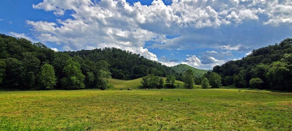 2484 Spring Valley Rd, Asbury, WV 24916 | MLS: MUDDY CREEK FARM | LandWatch