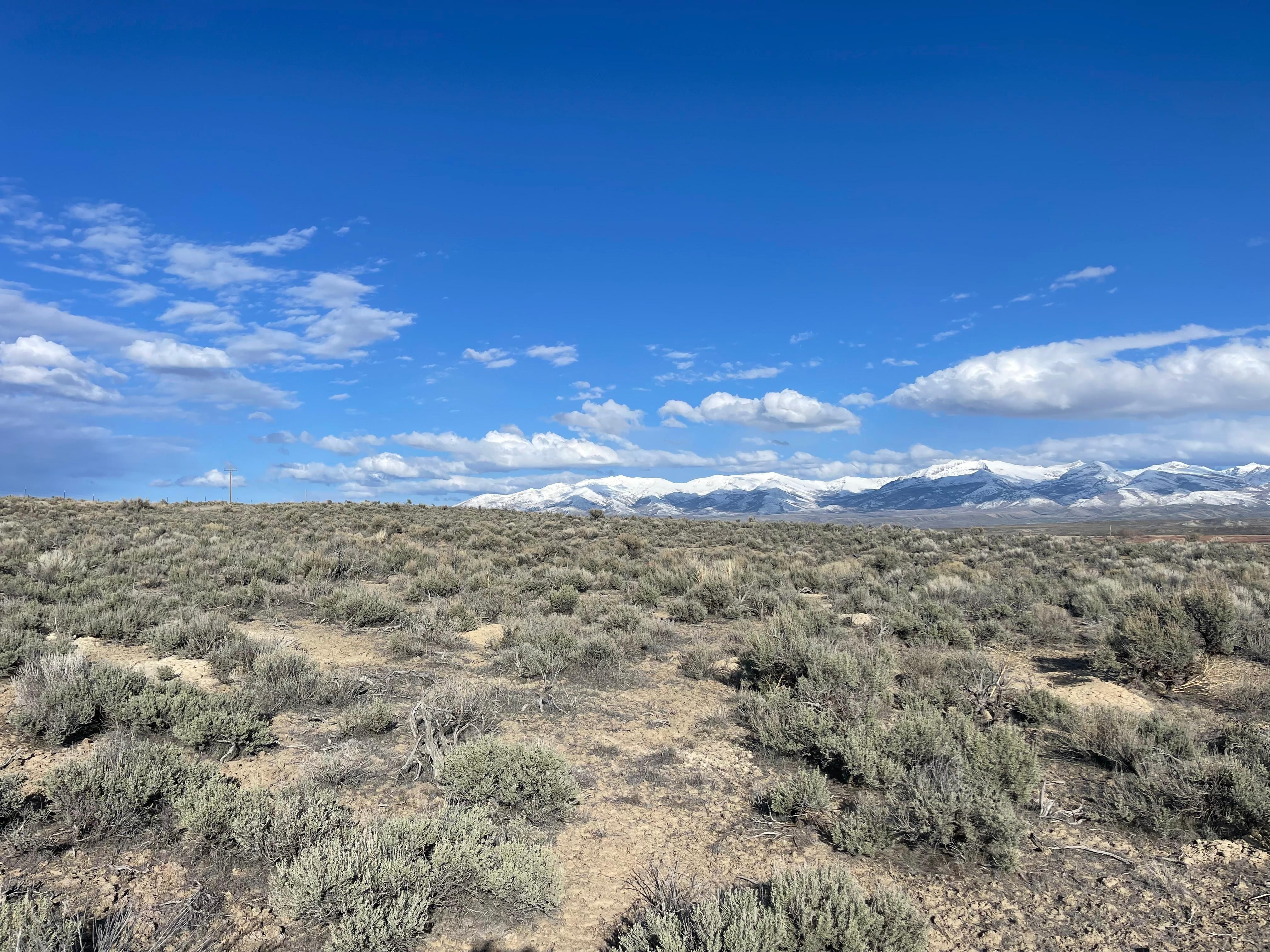 Scaup Ave, Deeth, NV 89801 | LandWatch