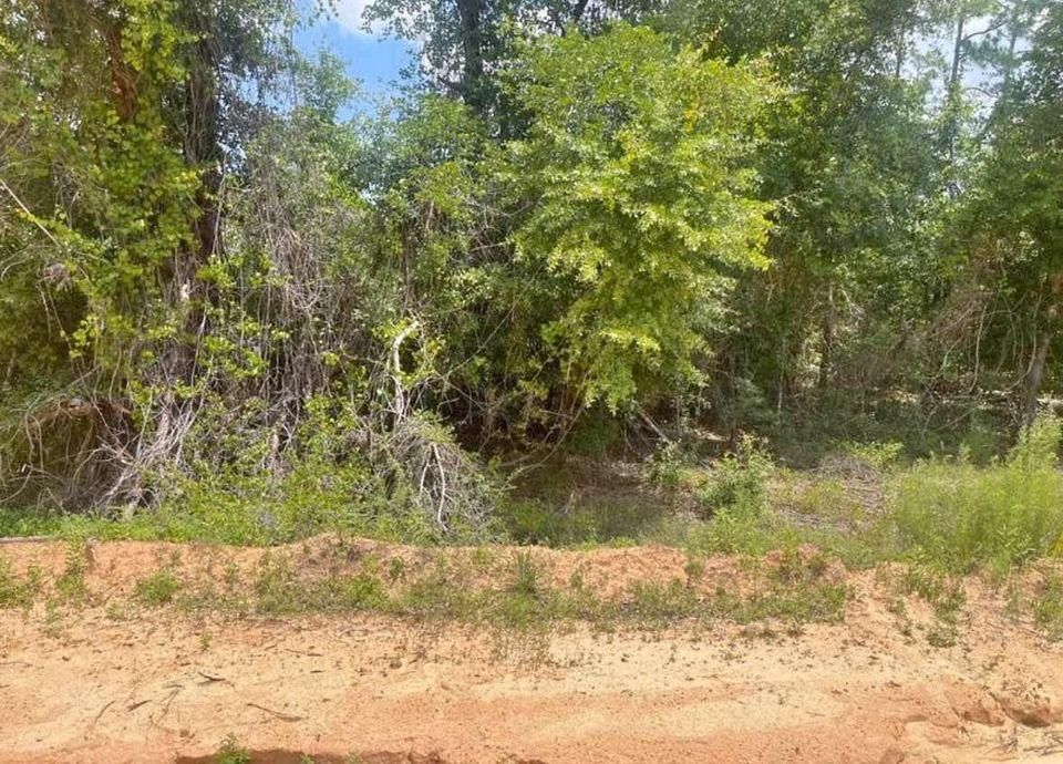 1.1 acres in Round Lake, FL, 32420 | LandWatch