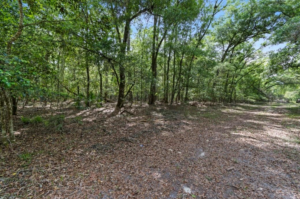 Sw 14 Th Pl, Bell, FL 32619 | MLS: 08-09-14-0023-000E-0020 | LandWatch