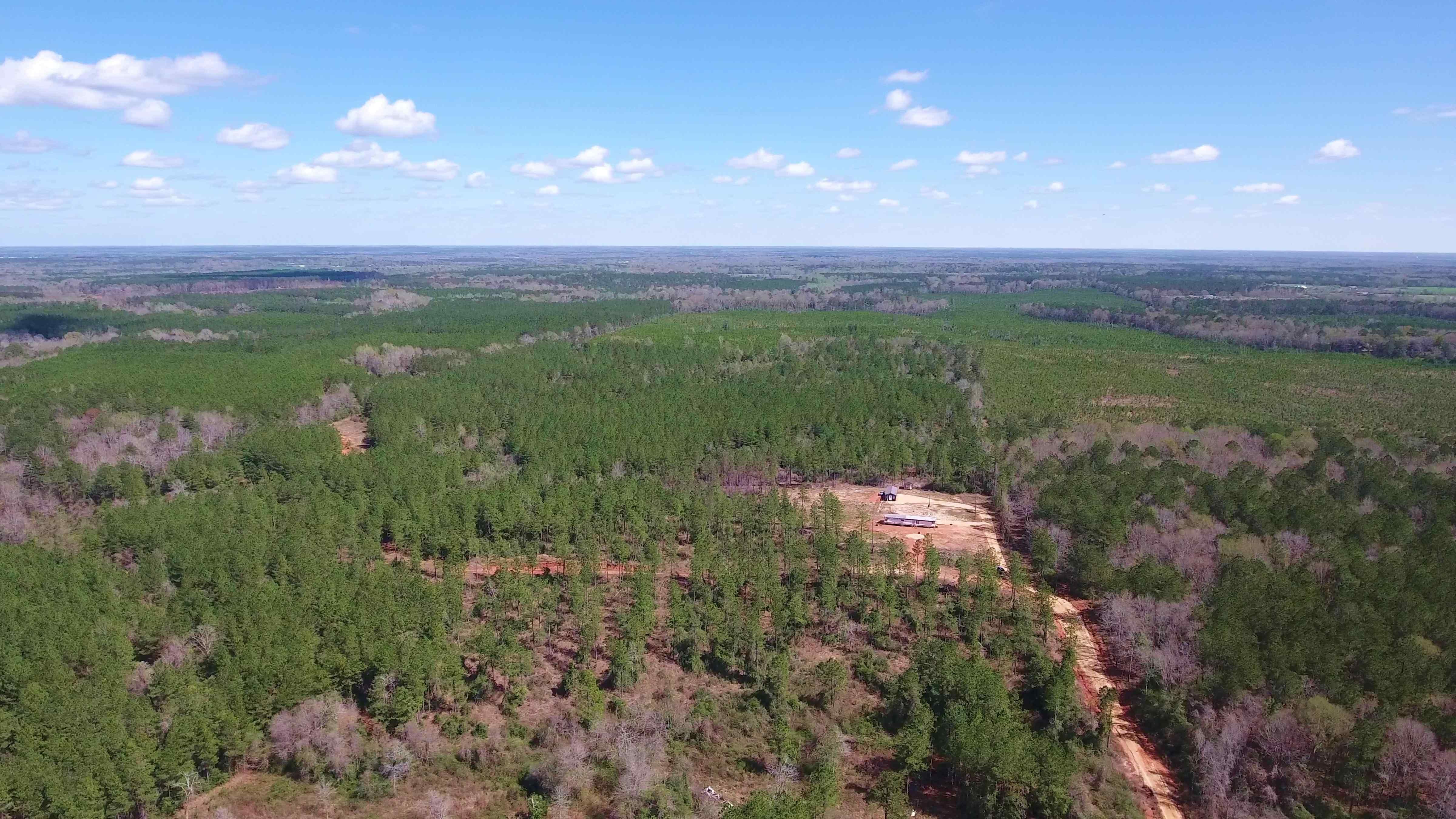 25250 Leora Williams Lane, Mount Hermon, LA 70450 | LandWatch