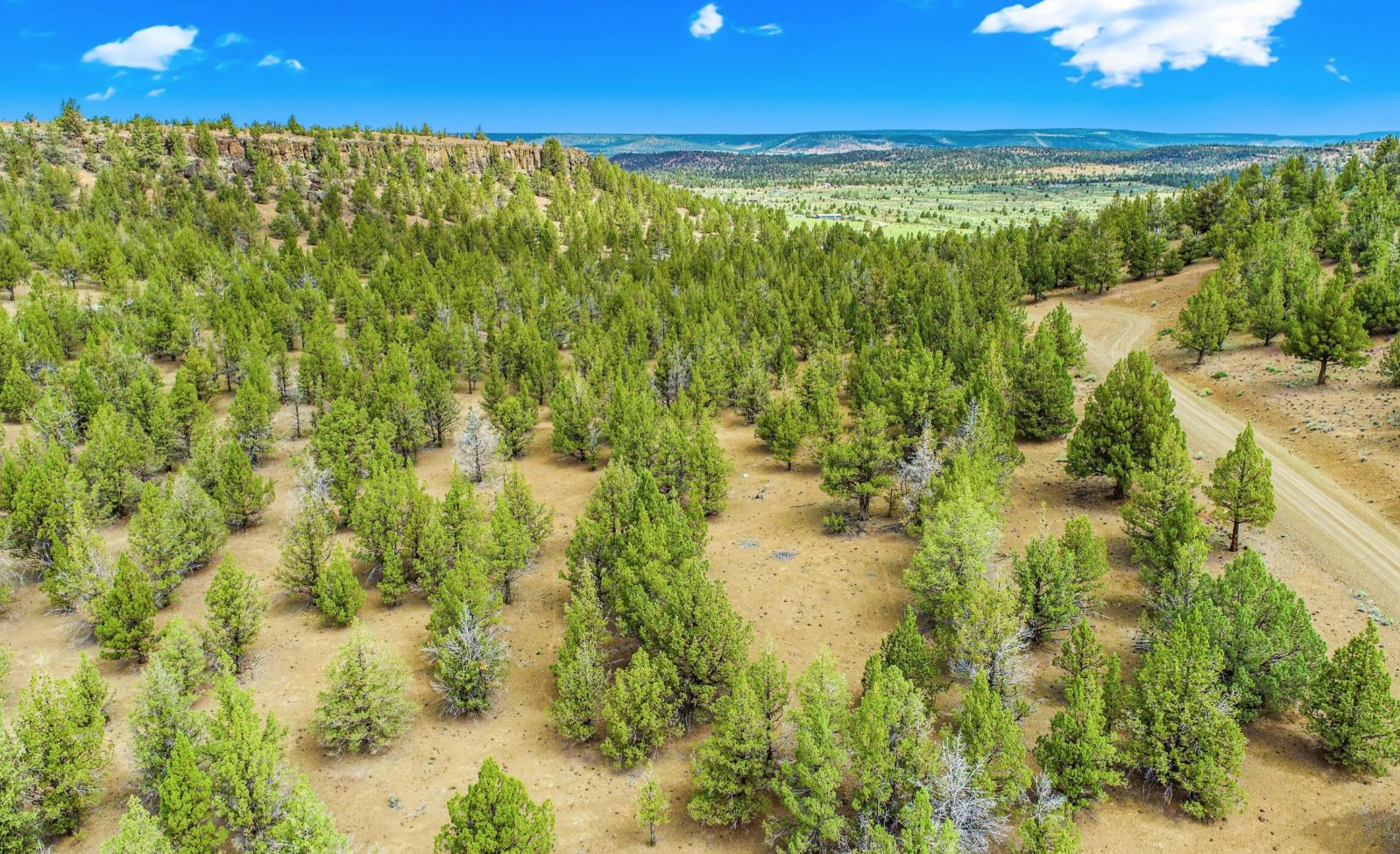 California Pines Blvd, Alturas, CA 96101 | LandWatch