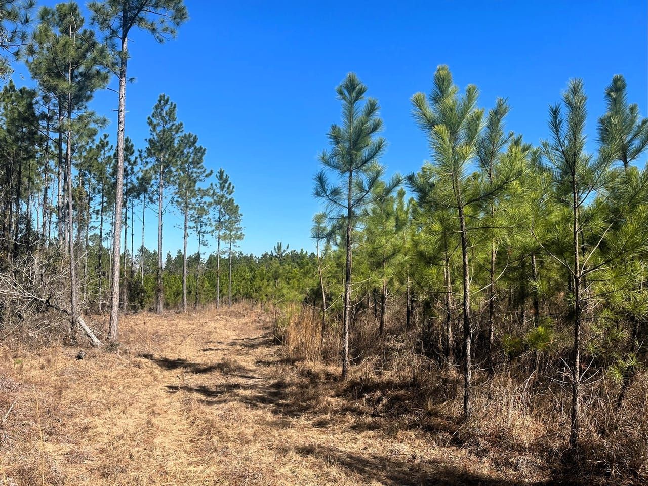 2379 Norristown Rd, Soperton, GA 30457 | LandWatch