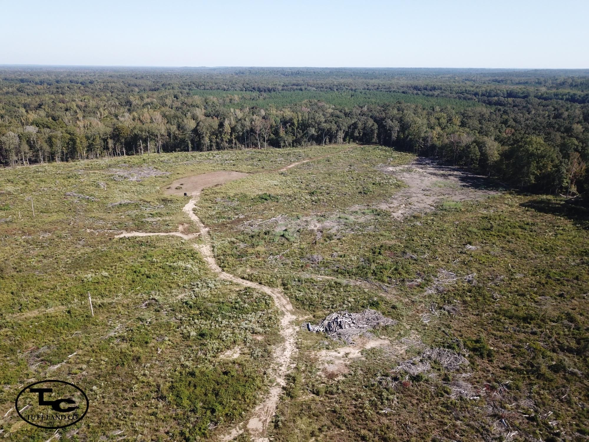 102.5 acres in Morvin, AL, 36784 | LandWatch