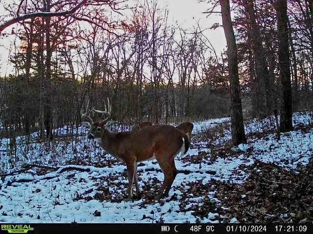 Manito Lake Road, Fortuna, MO 65034 | LandWatch