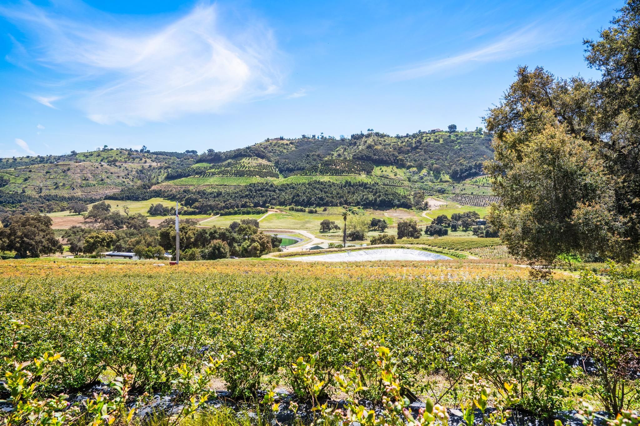 14224 Old Cole Grade Road, Pauma Valley, CA 92061 | LandWatch