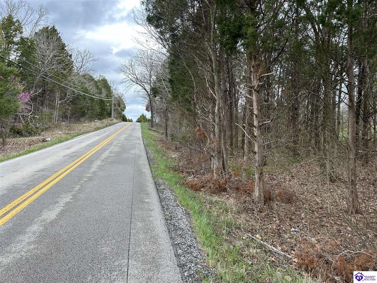 17640 Highway 690, Custer, KY 40143 | MLS: HK24001300 | LandWatch