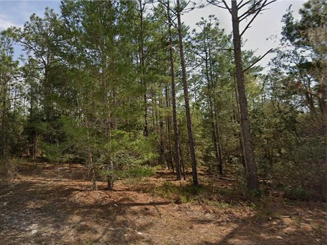 416 O Farrell Avenue, Interlachen, FL 32148 | MLS: 2019070 | LandWatch