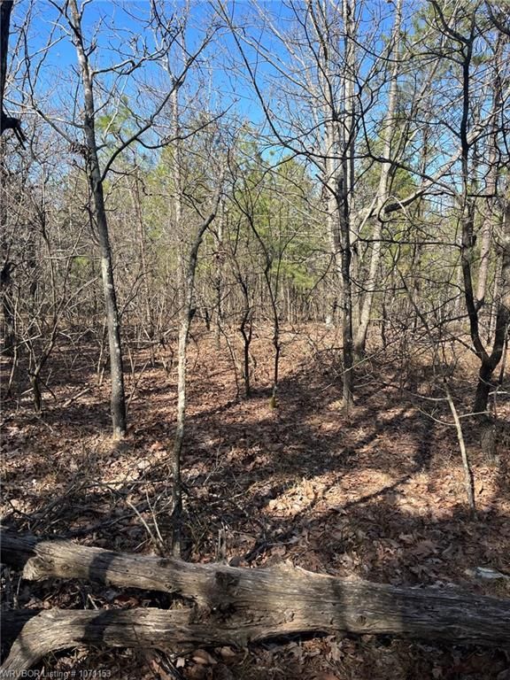 60 acres in Red Oak, OK, 74563 | MLS: 1071153 | LandWatch