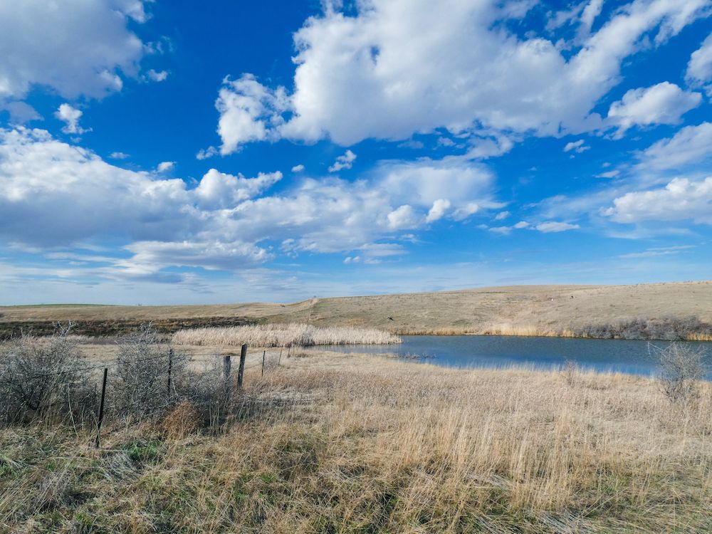NHN County Road 347, Lot#WP001, Fairview, MT 59221 | MLS: 345299 ...