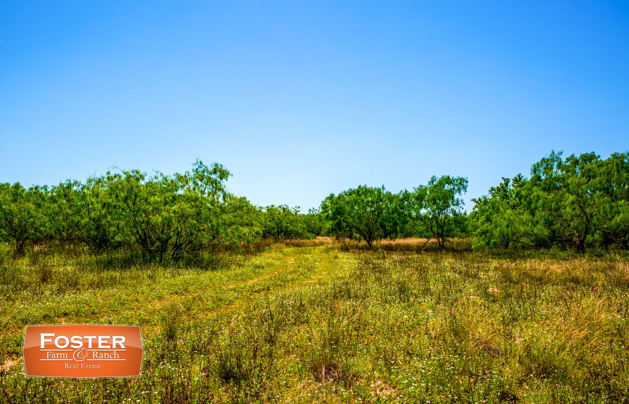 114 acres in Linn, TX, 78542 | LandWatch
