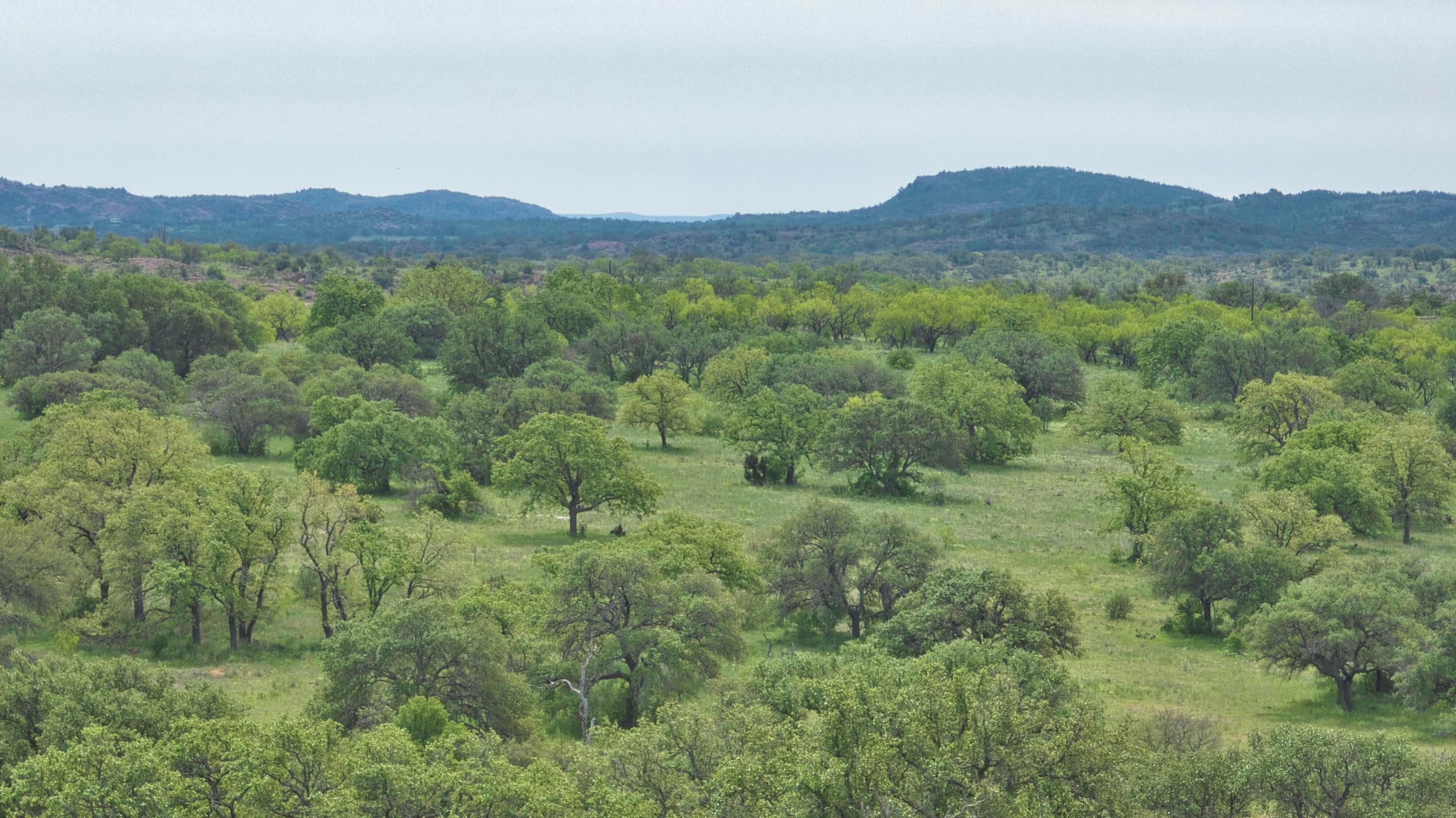 Fly Gap County Raod, Mason, TX 76820 | MLS: 89764 | LandWatch