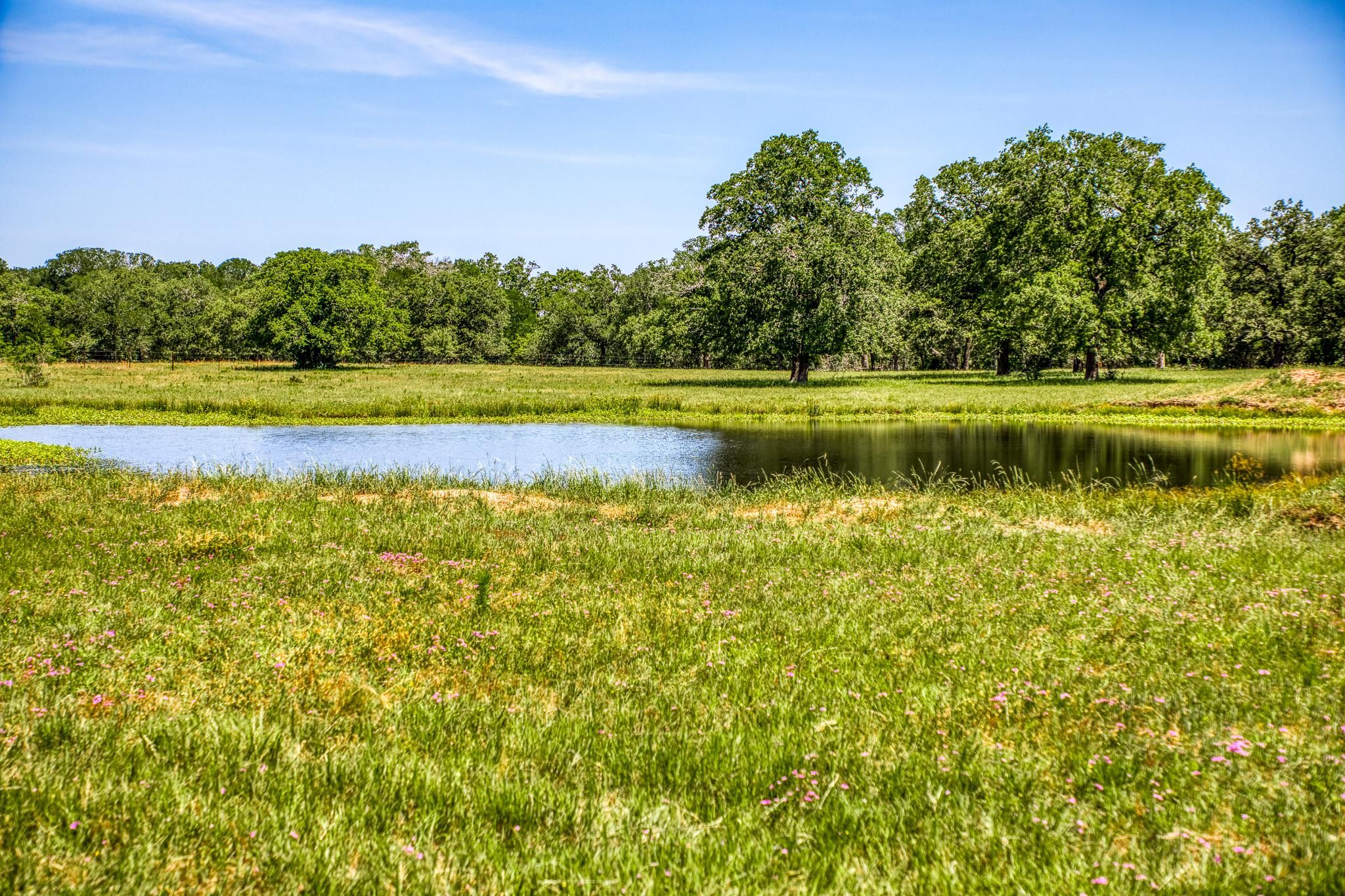 County Road 423, Somerville, TX 77879 | LandWatch
