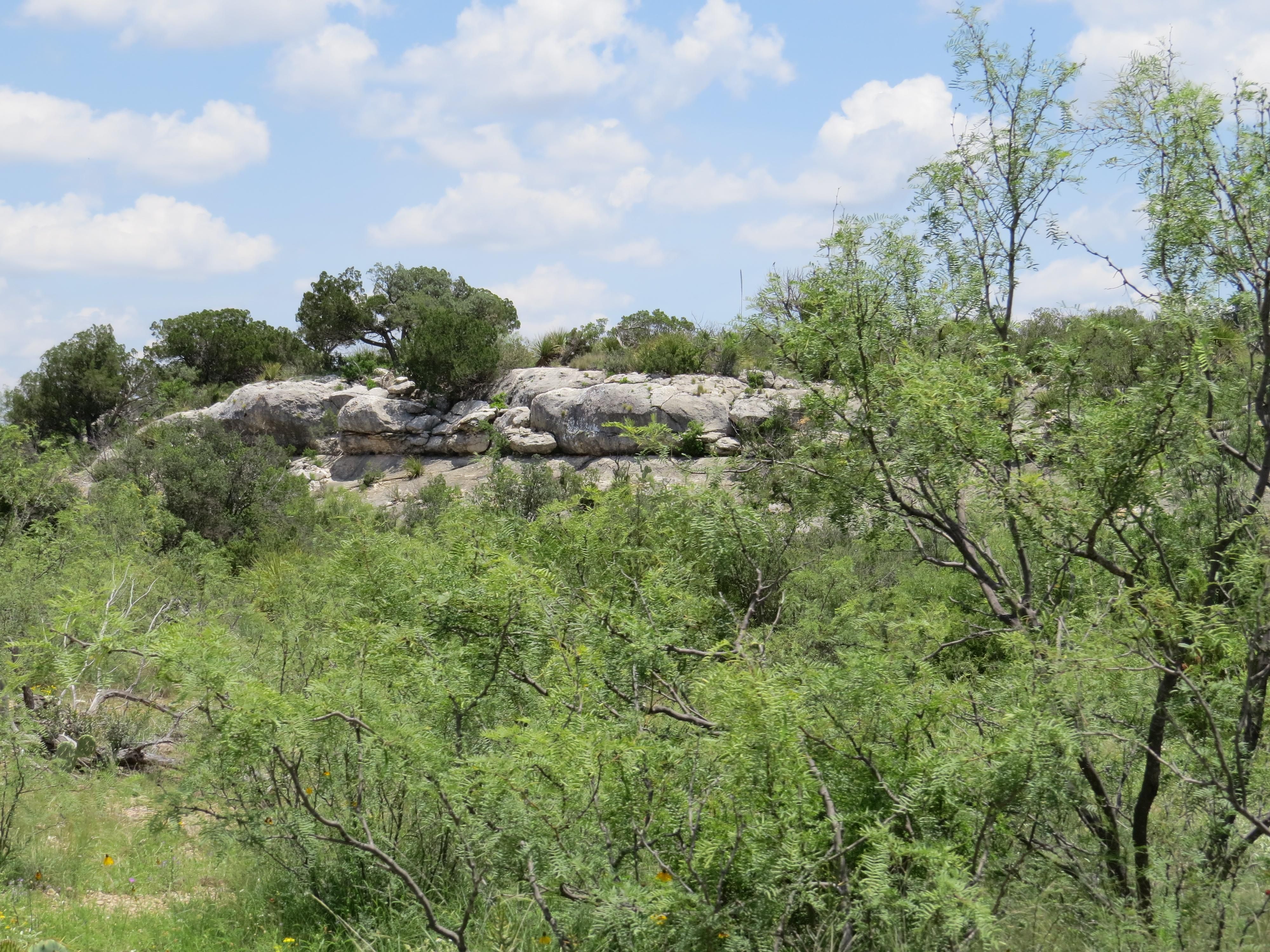 HWY 349, Sheffield, TX 79781 | MLS: SR 52 | LandWatch