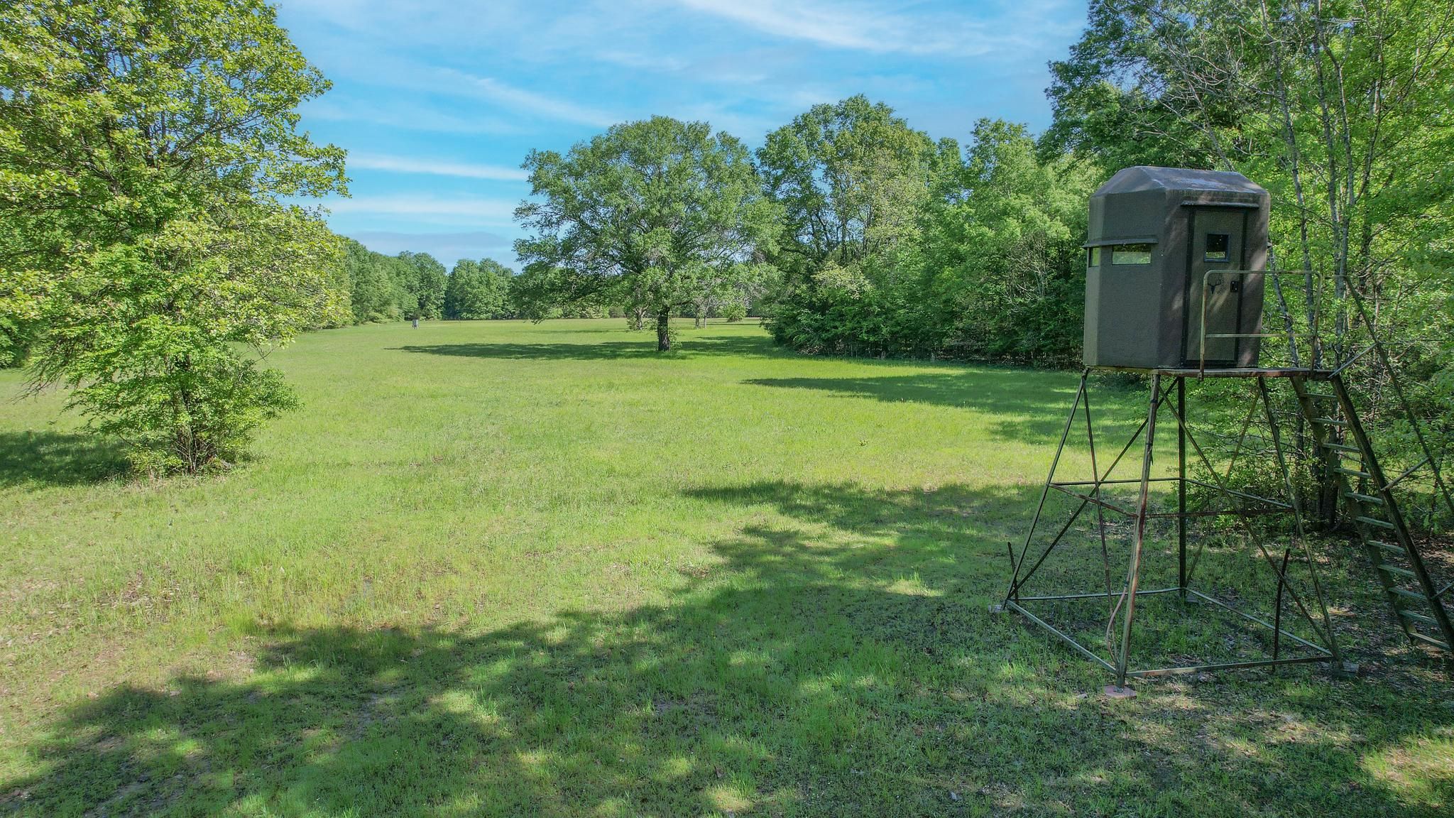 TBD FM 1699, Clarksville, TX 75426 | MLS: Hunting Property With Cabin ...