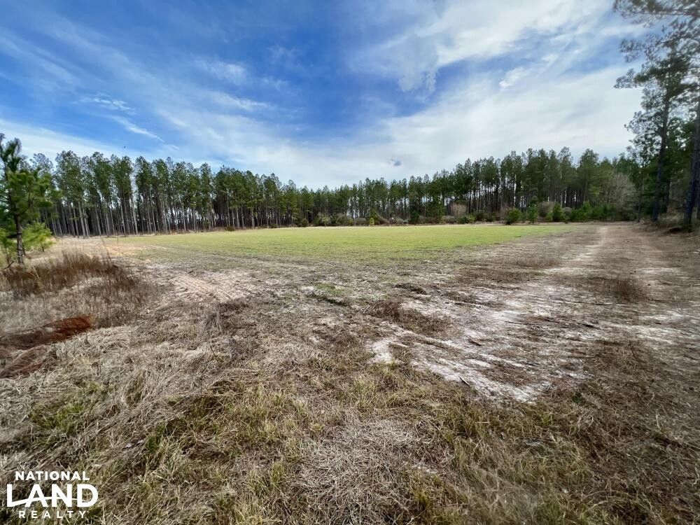 0 Old Stage Road, Excel, AL 36439 | LandWatch