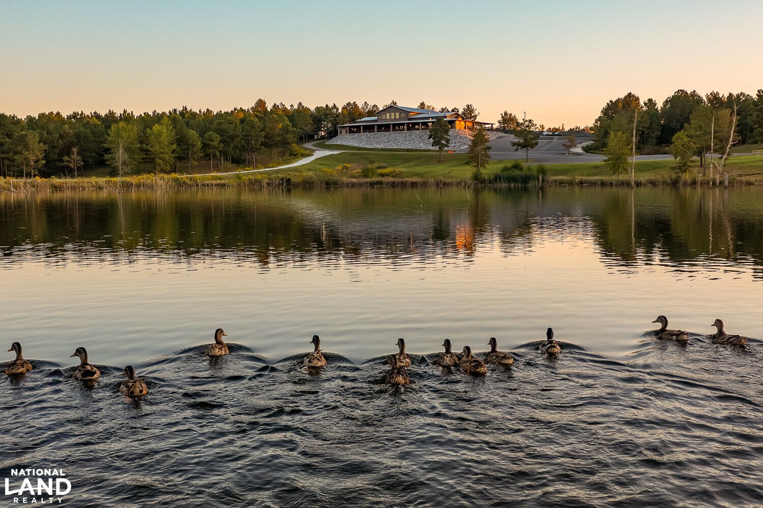 18618 Hwy 43, Linden, AL 36748 | LandWatch