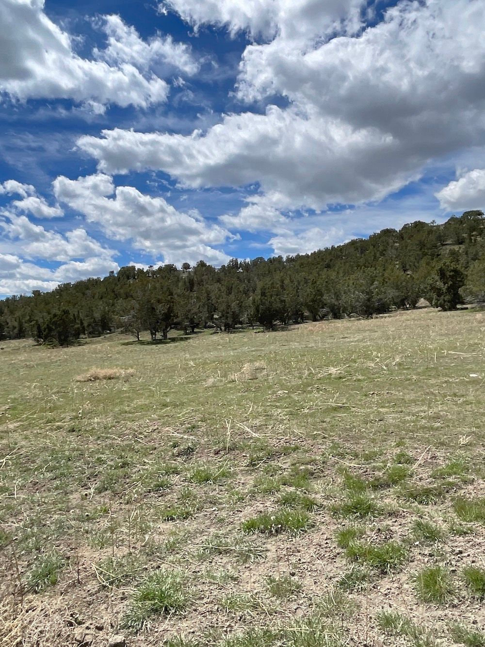 TBD River Lane Road, lot#WP004, Moroni, UT 84646 | LandWatch