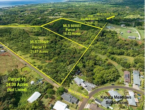 Kapaa, Kauai County, HI Undeveloped Land for sale Property ID ...