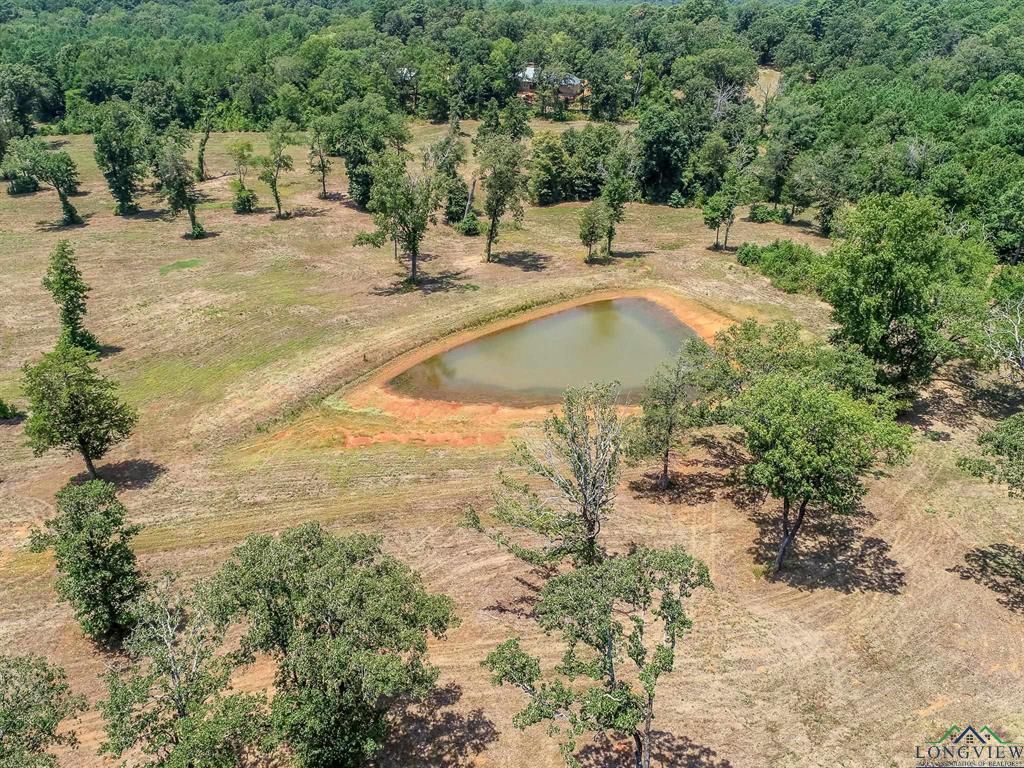 County Road 358, Winona, TX 75792 | MLS: 20234509 | LandWatch