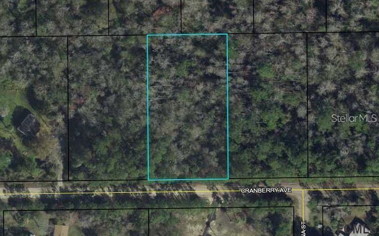Bunnell, Flagler County, FL Undeveloped Land, Homesites for sale ...