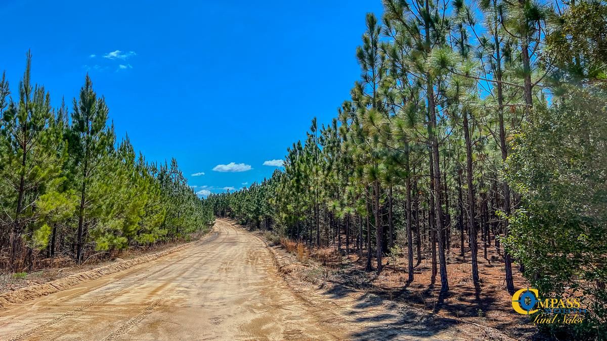 Old CC Road, Cassatt, SC 29032 | LandWatch
