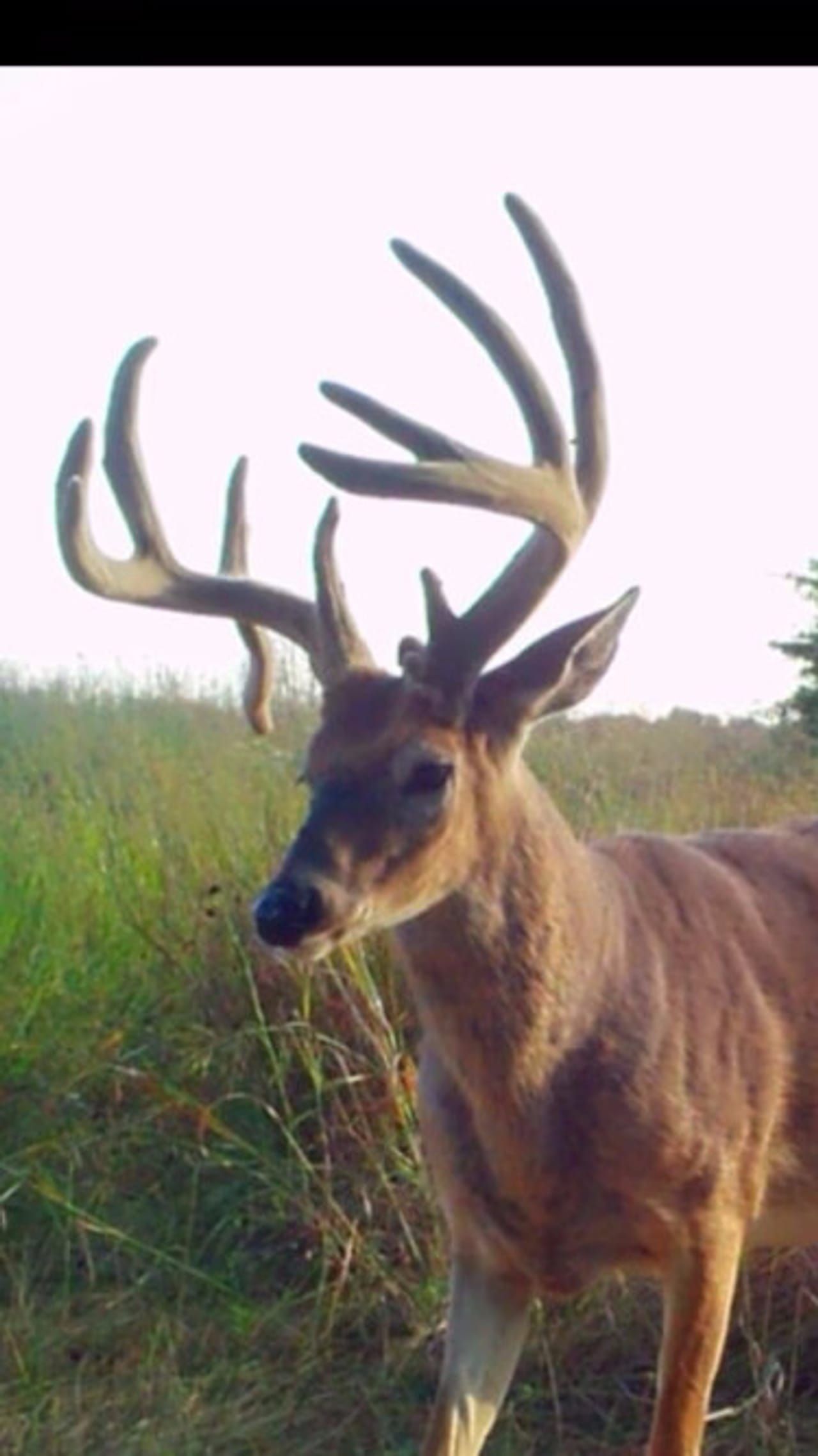 3,100 acres in Sharon, KS, 67009 | LandWatch