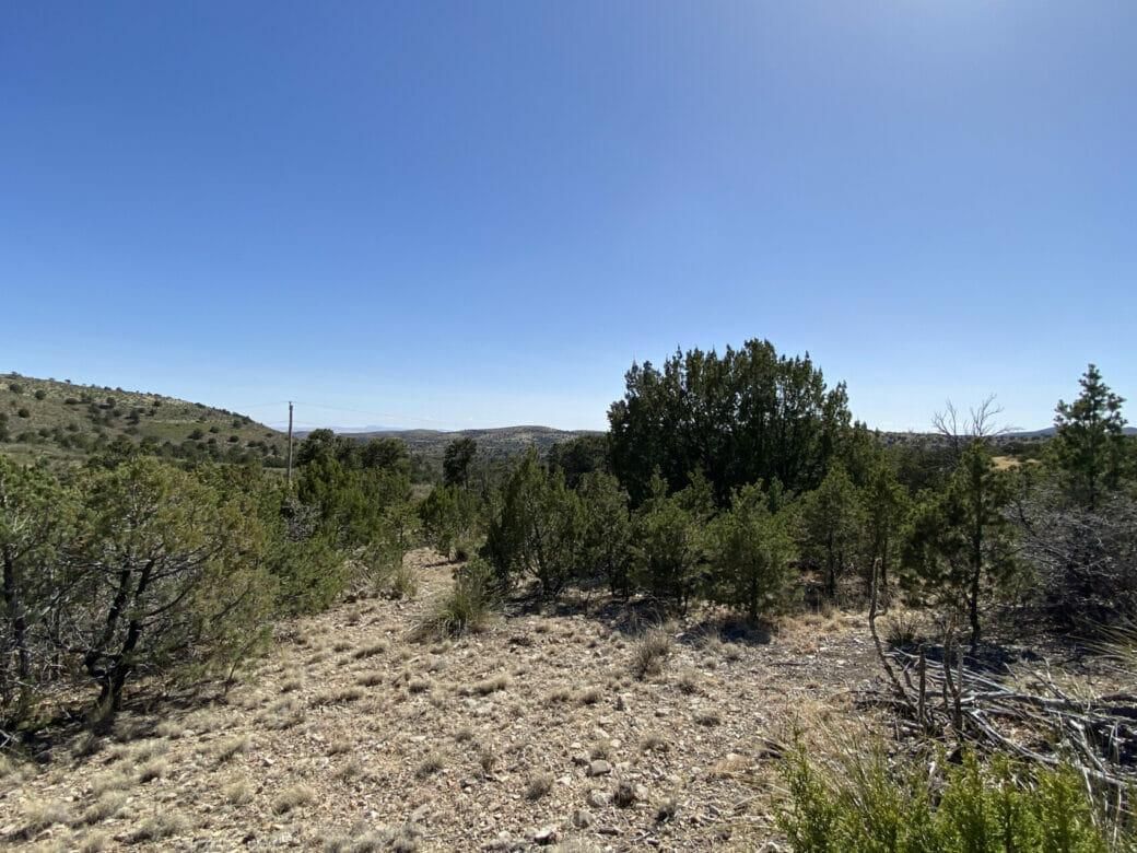 Longfellow Rd, Timberon, NM 88350 | MLS: R044990 | LandWatch