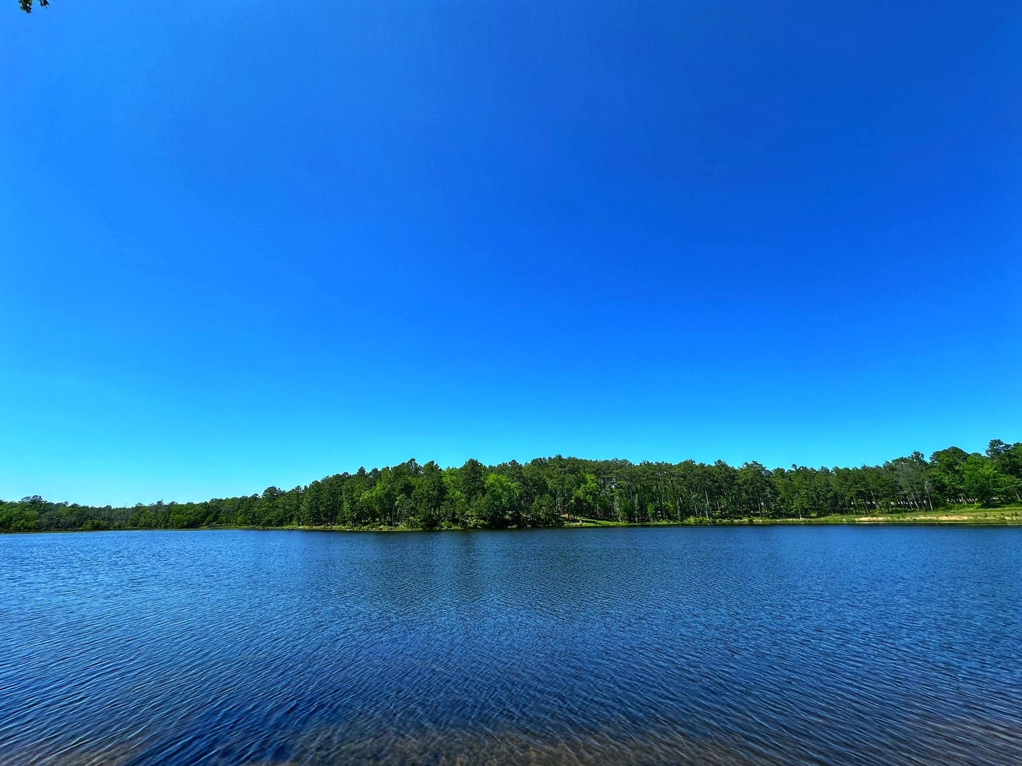 PR 1311, Centerville, TX 75833 | LandWatch