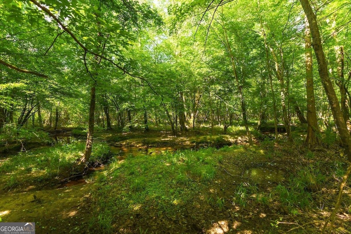 6053 Sunhill Grange, Davisboro, GA 31018 | MLS: 20178007 | LandWatch