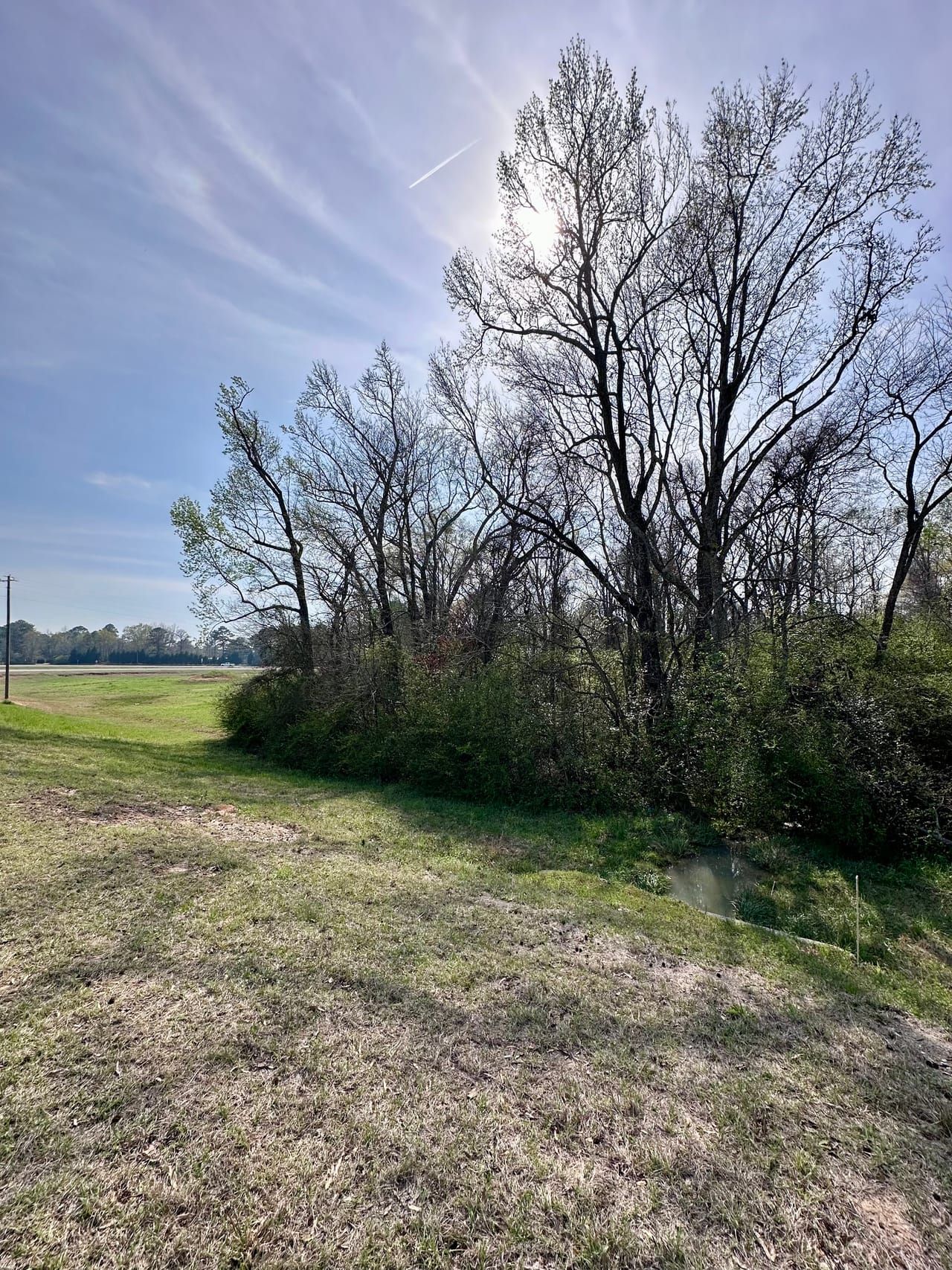 482 Perry Hwy,, Hawkinsville, GA 31036 | LandWatch