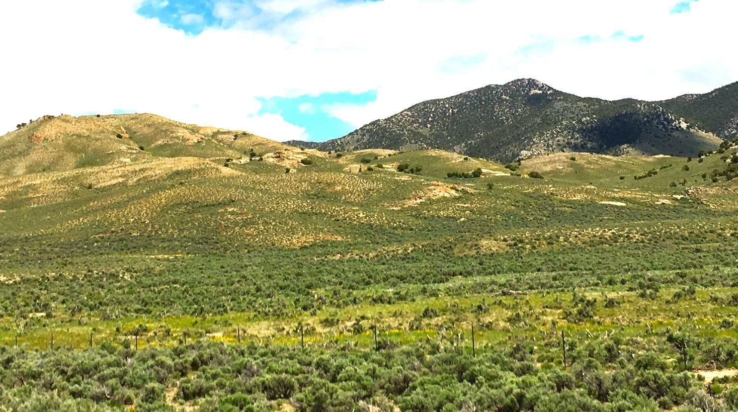 40 acres in Montello, NV, 89830 | MLS: 010-14B-005 | LandWatch