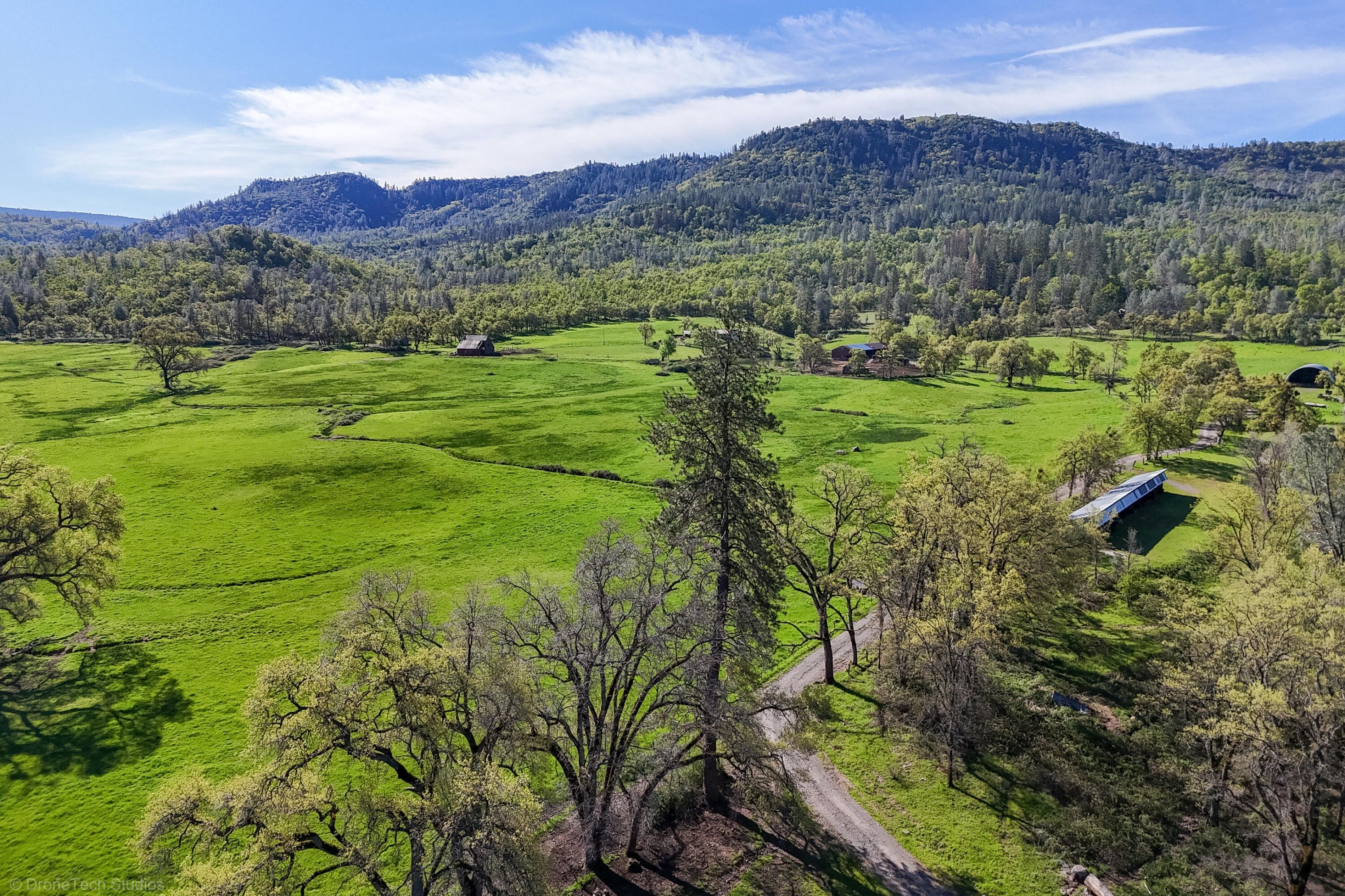 9568 Blue Mountain Ranch Road, Whitmore, CA 96096 | MLS: 24-1748 ...