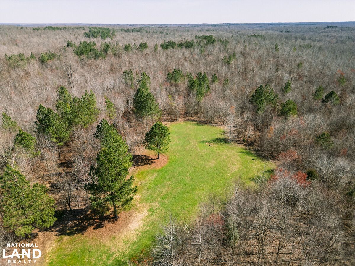 Big Sandy, Benton County, TN Recreational Property, Timberland Property ...