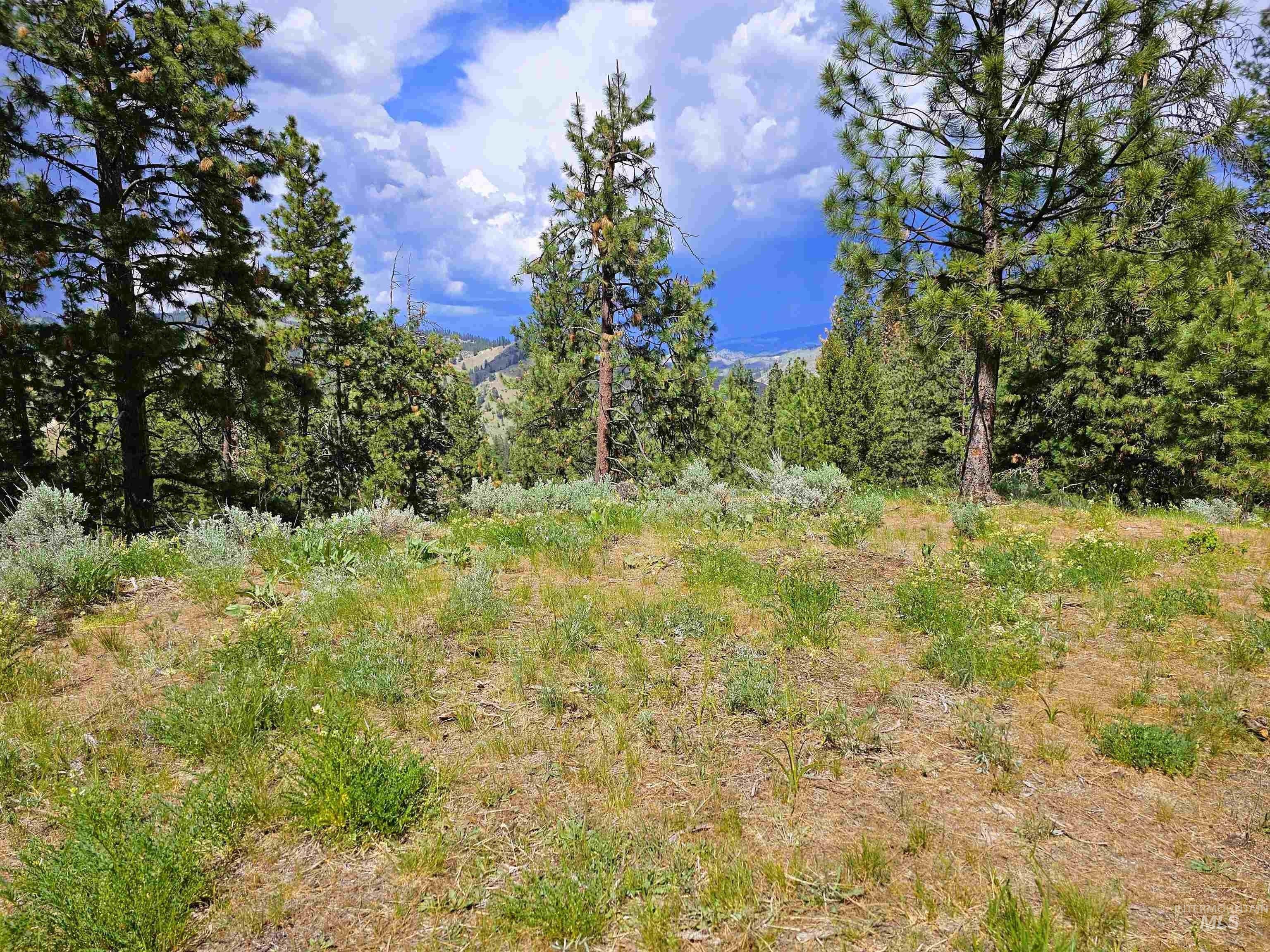 Lot 25 Pine Ridge Road, Boise, ID 83716 | MLS: 98907941 | LandWatch