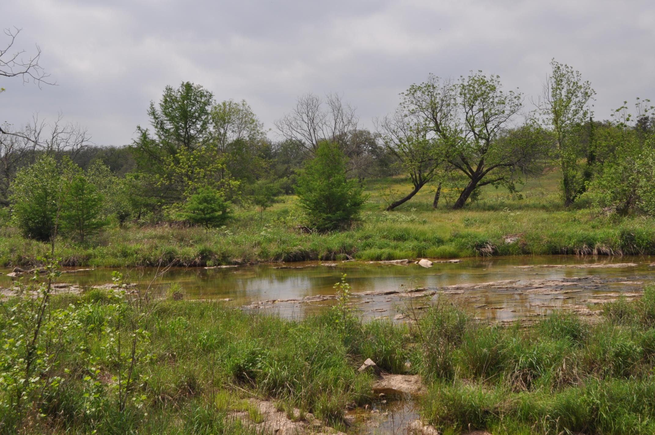 16.53 acres in Hye, TX, 78635 | MLS: 90679 | LandWatch