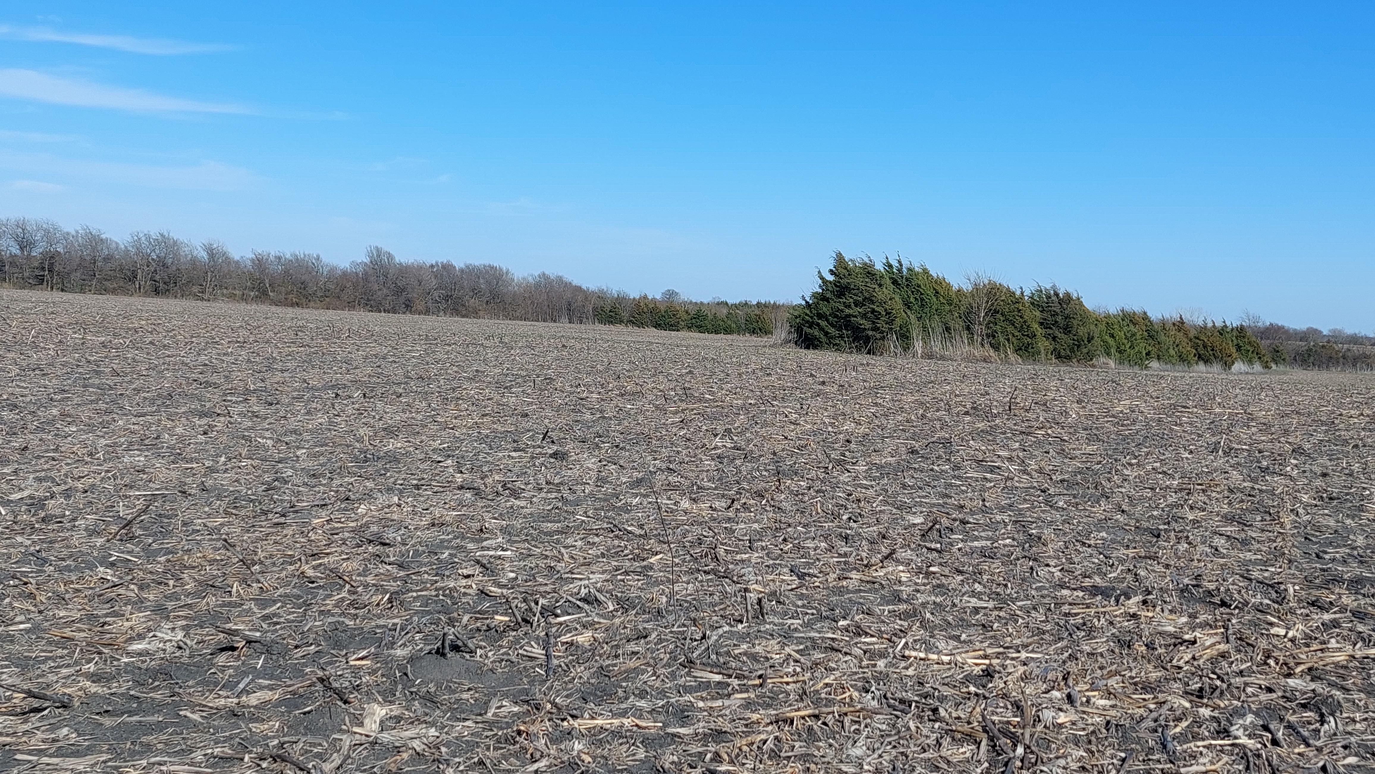 1500 County Road 3070, Ben Franklin, TX 75415 | LandWatch