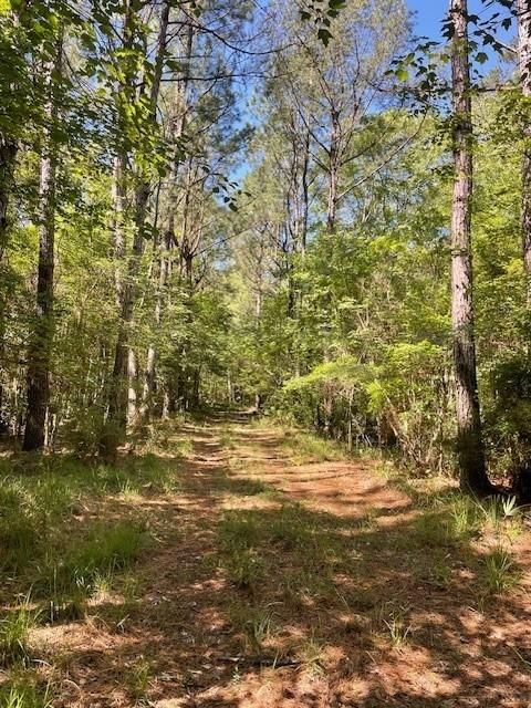 Cox Road, Townsend, GA 31331 | MLS: McIntosh 1 Tract | LandWatch