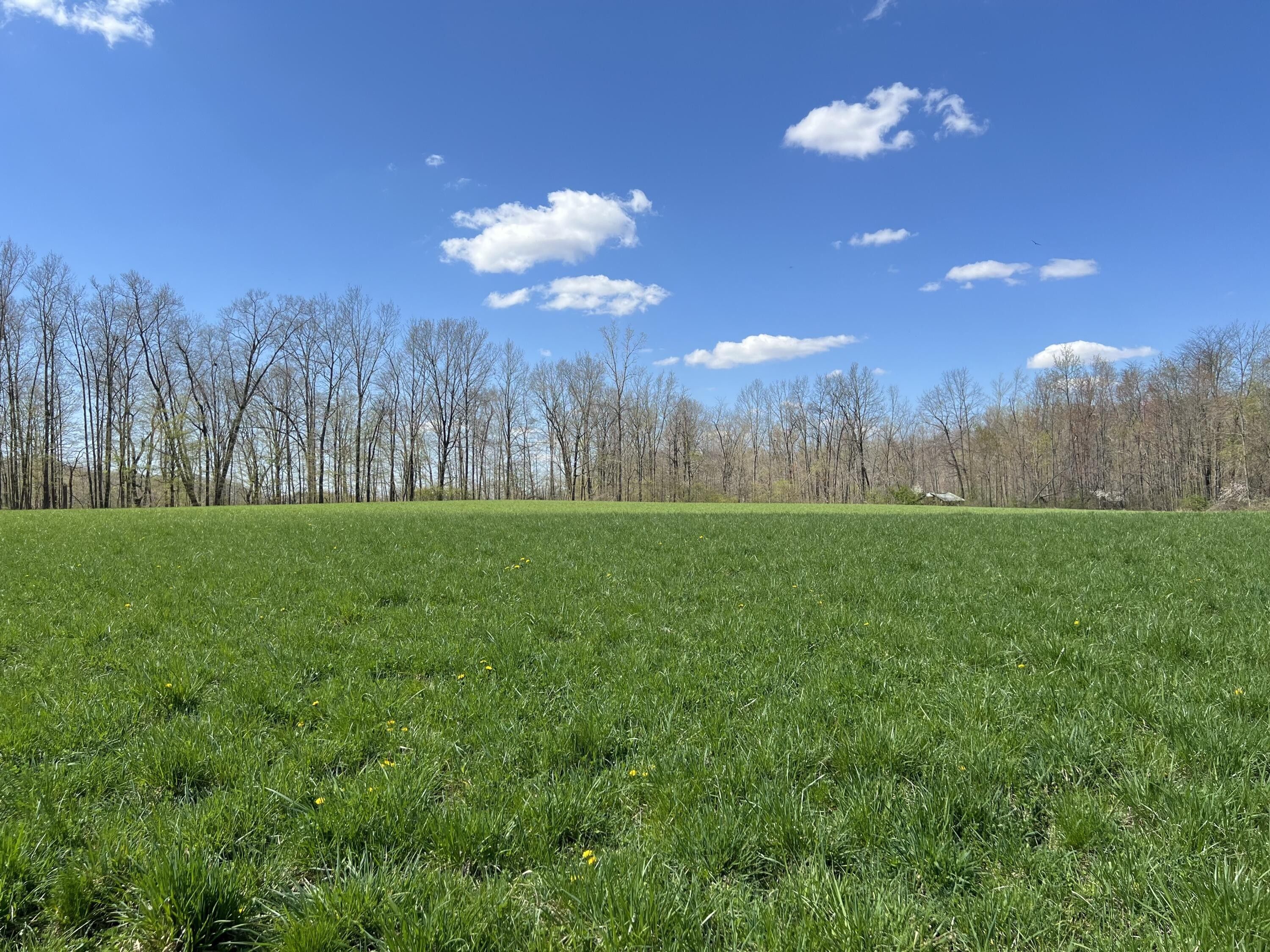 Pittsford, Hillsdale County, MI Undeveloped Land for sale Property ID ...