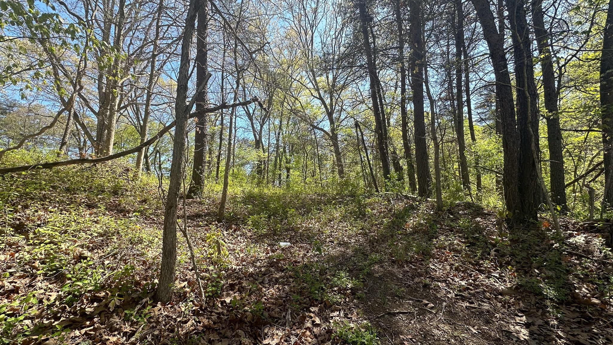 Oakland Road, Jackson, OH 45640 | MLS: Jackson County Ohio Land for ...