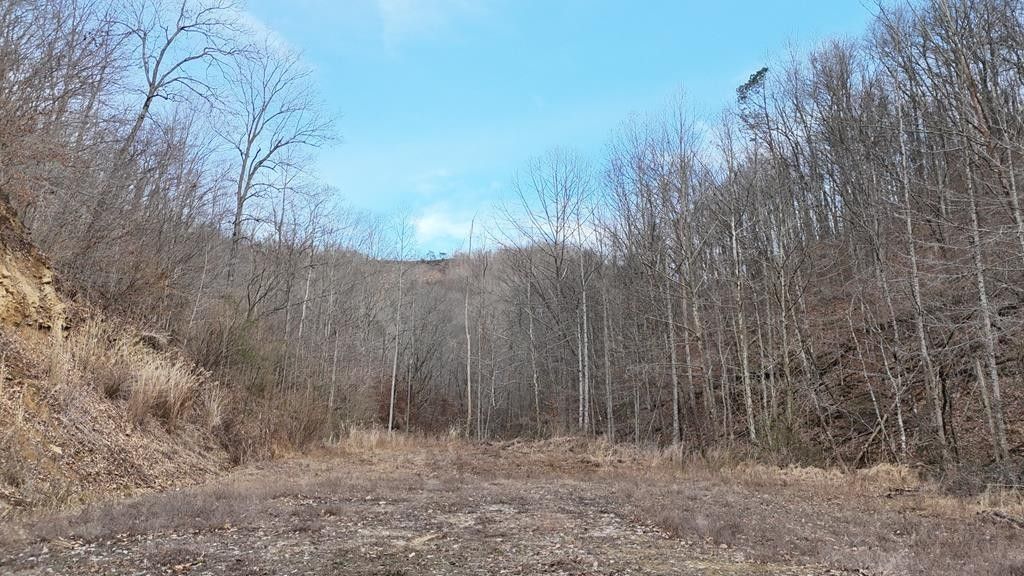 00 Ousley Branch (DB 686 PG 72), Prestonsburg, KY 41653 | MLS: 121822 ...
