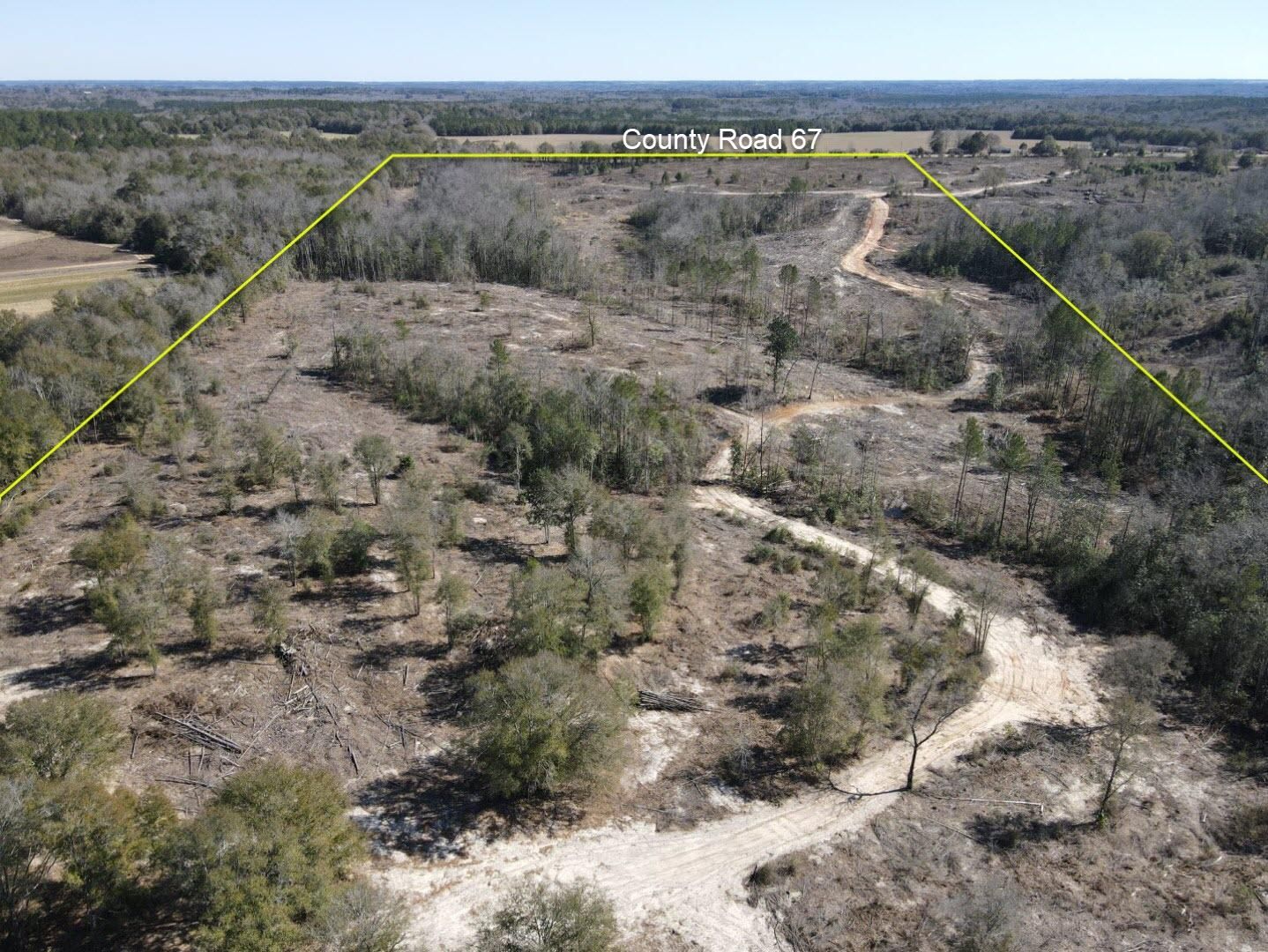 73 acres in Echo, AL, 36360 | LandWatch